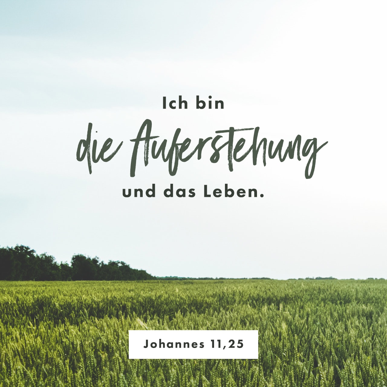 Lass in dieser Woche vor Ostern jeden Tag zählen.