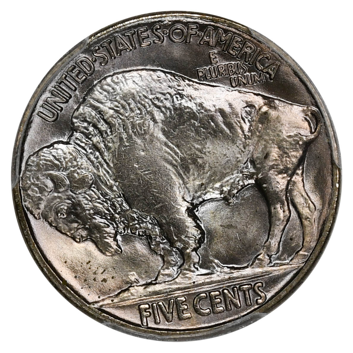 1926 5C Buffalo Nickel PCGS MS66 Certified US Rare Coin Tangible 1926 5C Buffalo Nickel PCGS MS66 Certified US Rare Coin Tangible