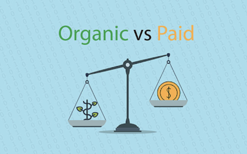 Instagram Ads vs Organic Posts: Which One to Use and When?