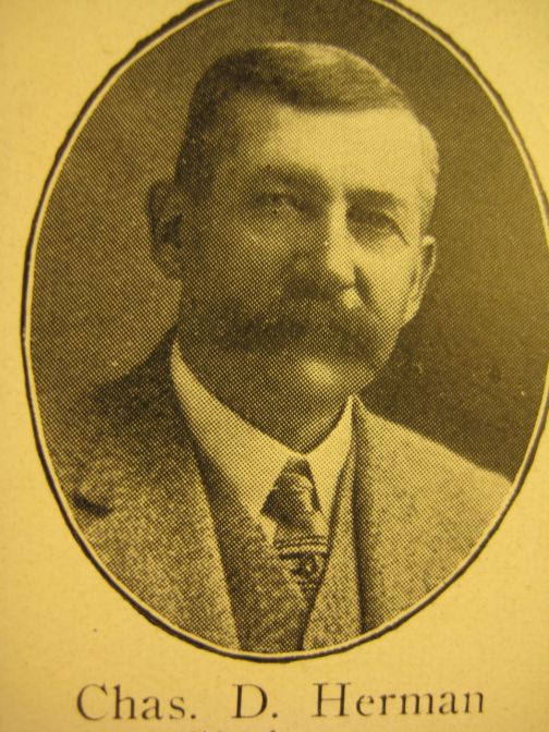 Charles D. Herman - Remember My Journey