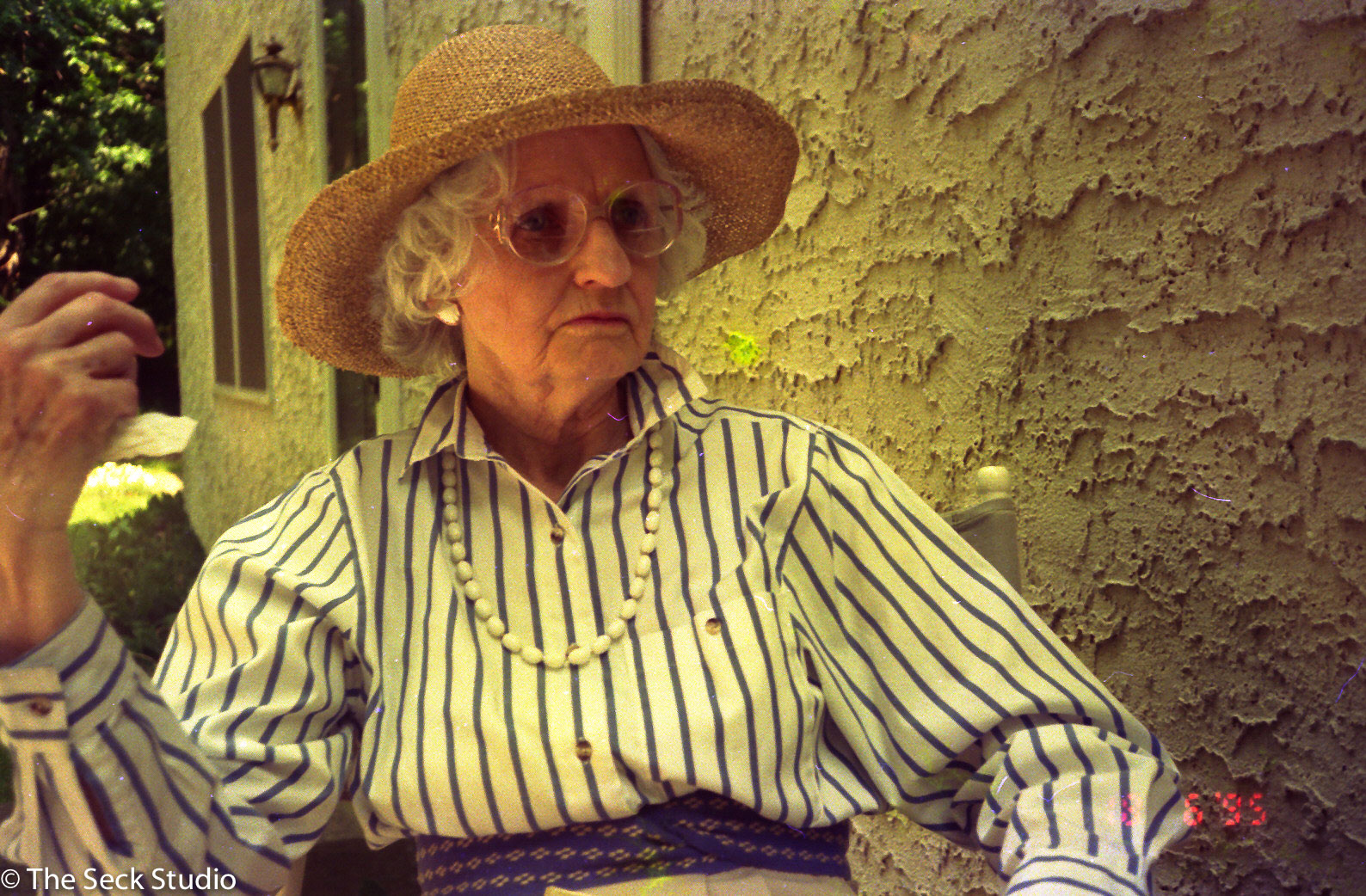 Mildred S Ellison - Remember My Journey