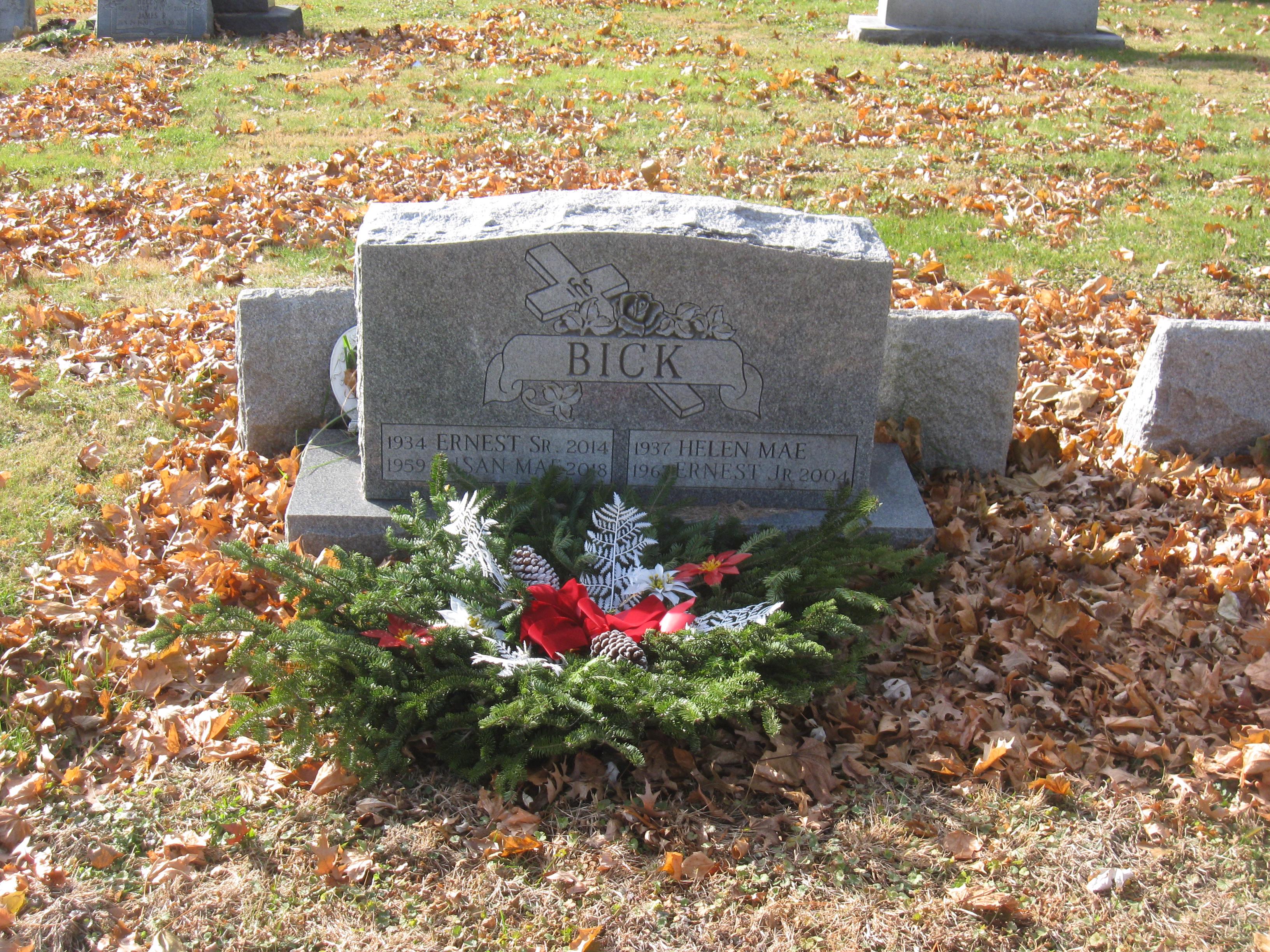 Susan Bick - Remember My Journey