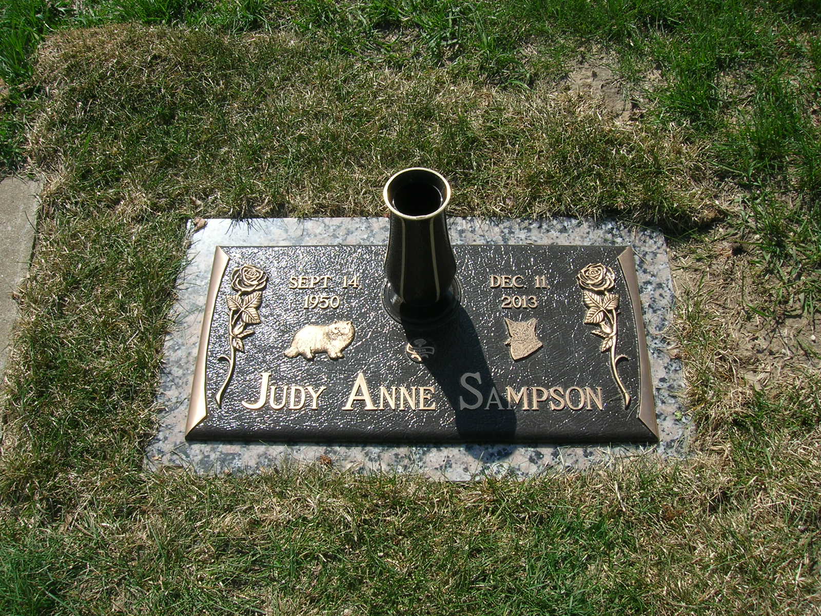 JUDY ANNE SAMPSON - Remember My Journey