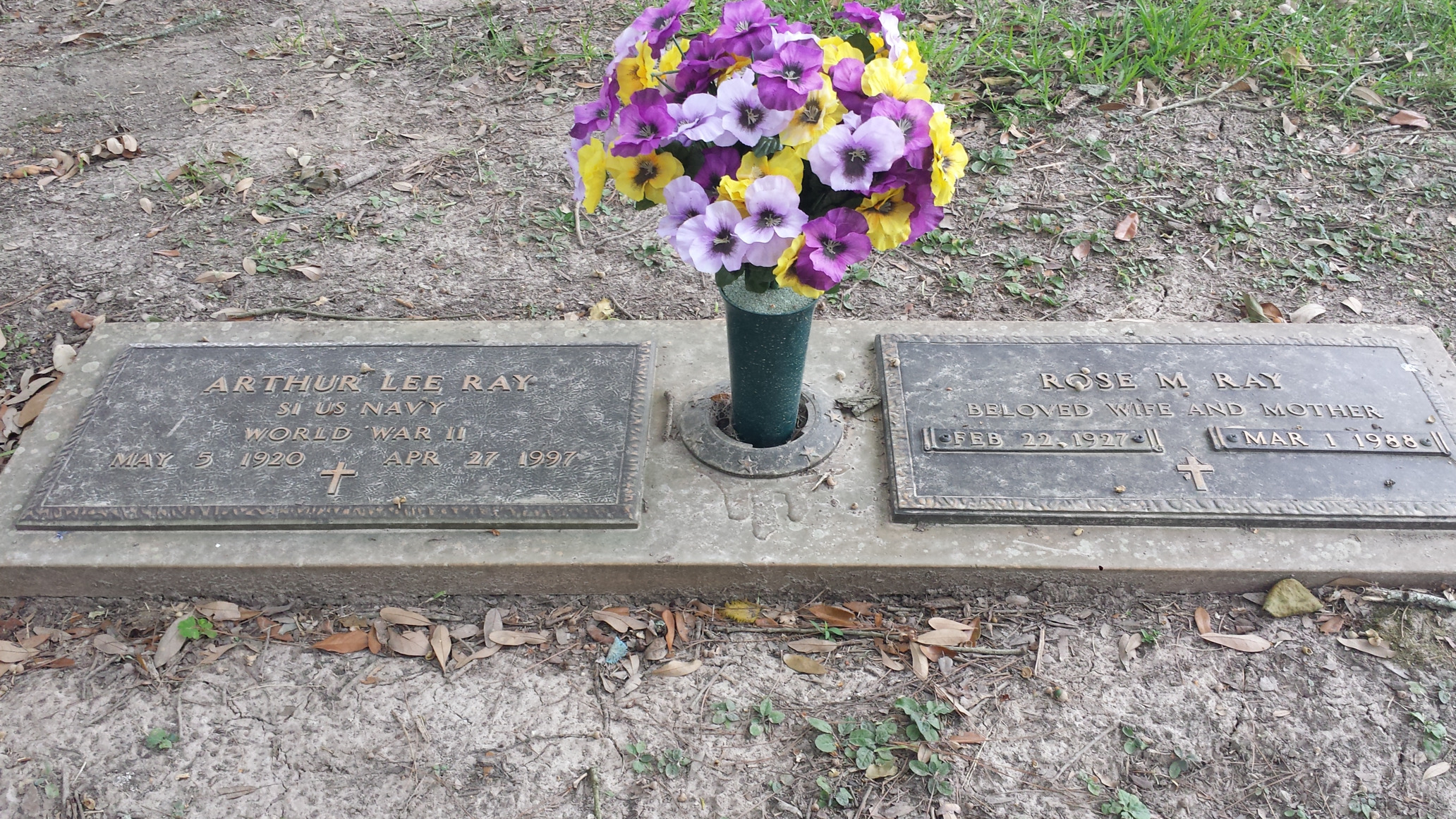 Rosalie Ray - Remember My Journey