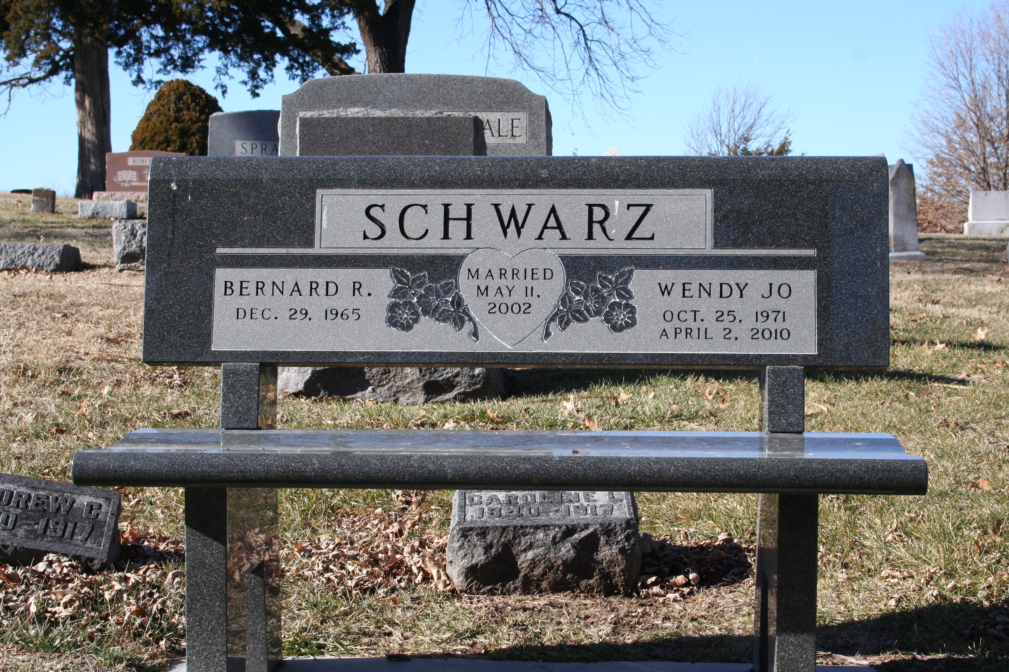 Wendy Jo Schwarz - Remember My Journey