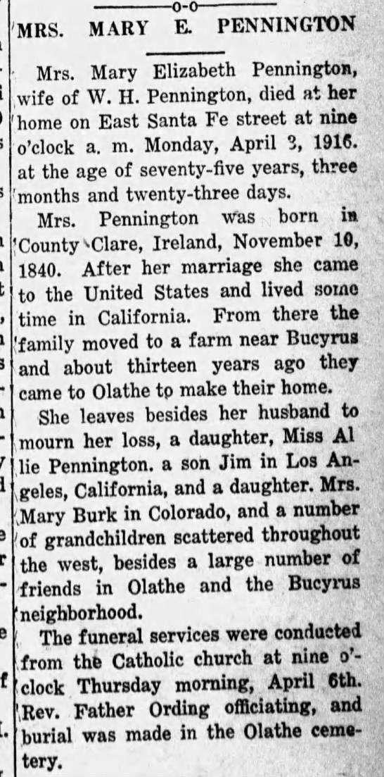 Mary E Pennington - Remember My Journey