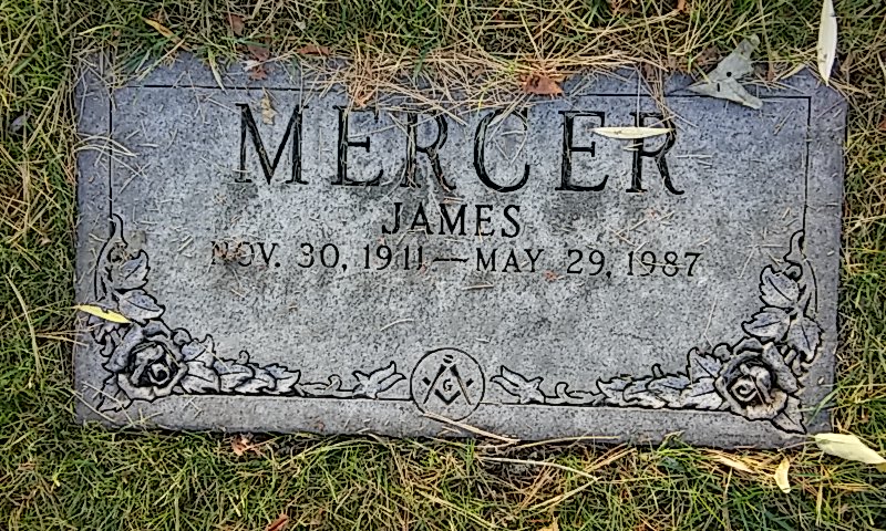 JAMES MERCER - Remember My Journey