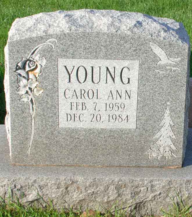 Carol Ann Young - Remember My Journey