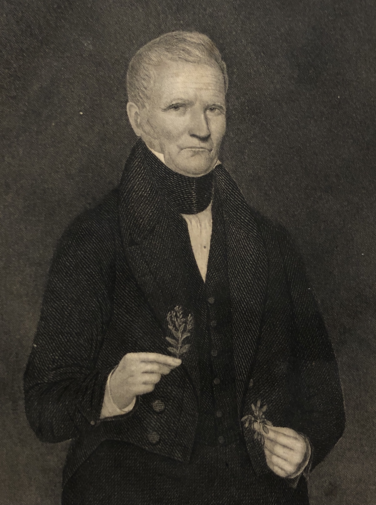 The Thomsonian System: The Shakers and herbal medicines | Shaker Museum