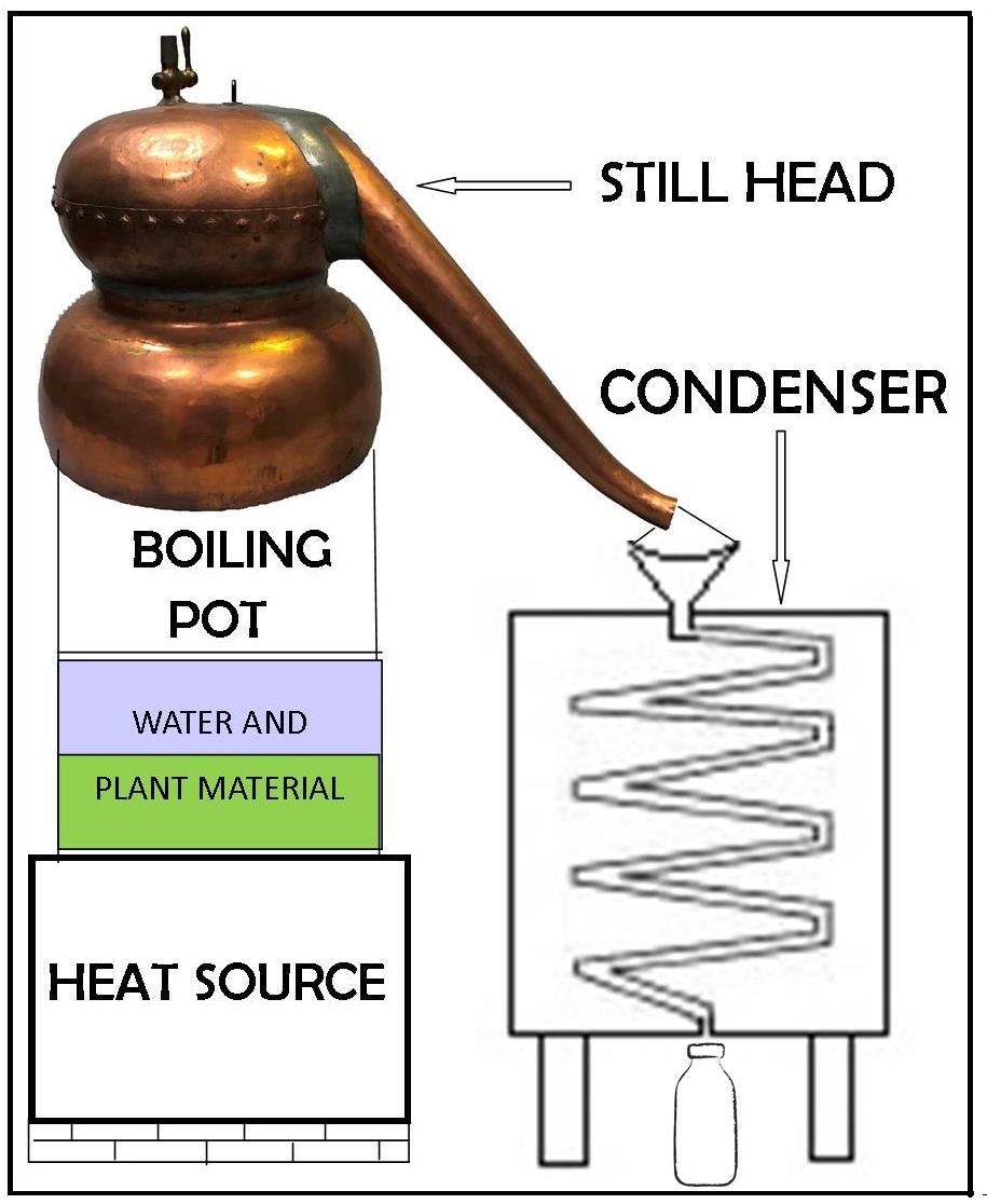 A Shaker still | Shaker Museum