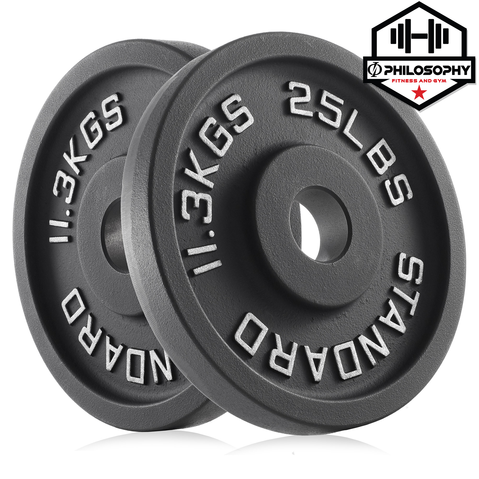 Cast Iron Olympic 2-inch Weight Plates, 2.5 - 45LB | eBay
