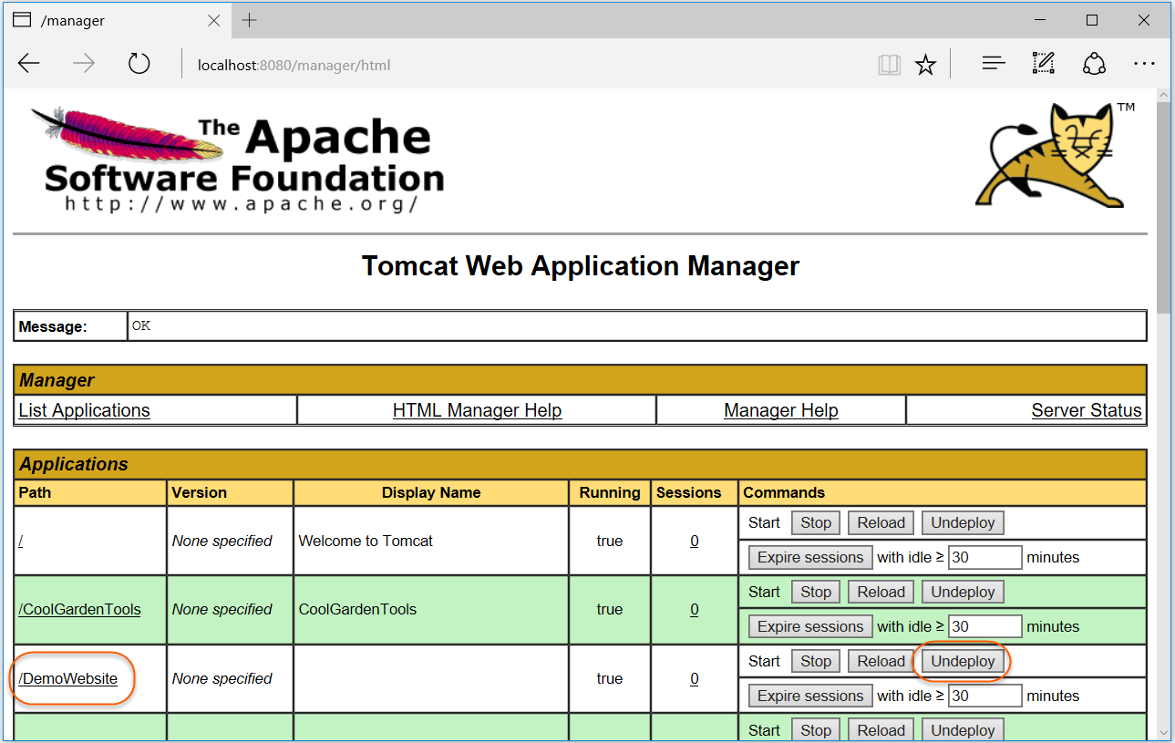 Apache Tomcat Http