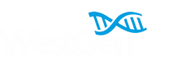 Products Archive - WestGen