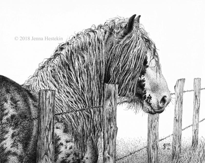 Gypsy Vanner Stallion (XP from SouthwesternWestern Art) - WetCanvas ...