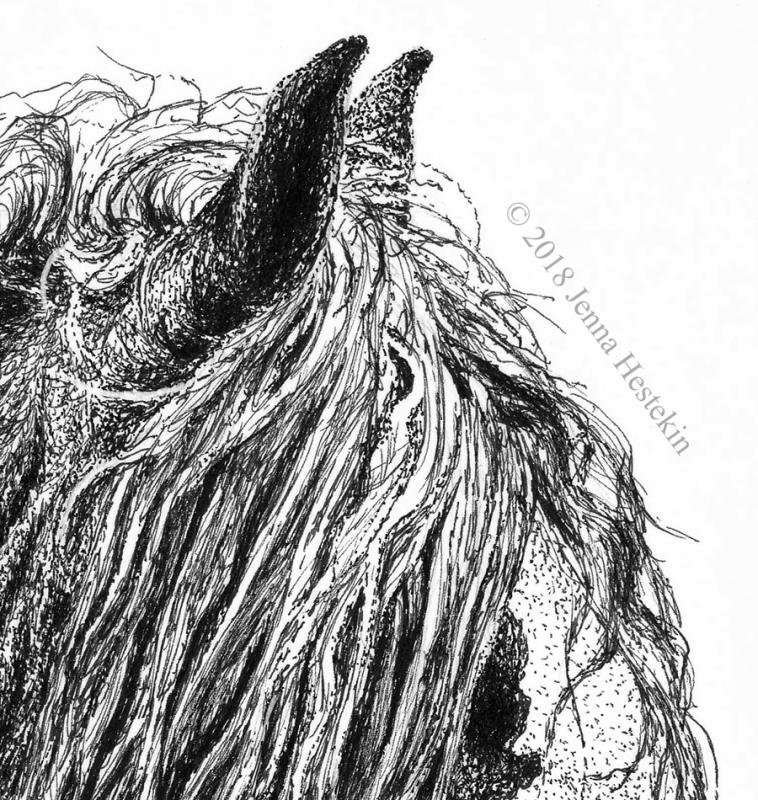 Gypsy Vanner Stallion (XP from SouthwesternWestern Art) - WetCanvas ...