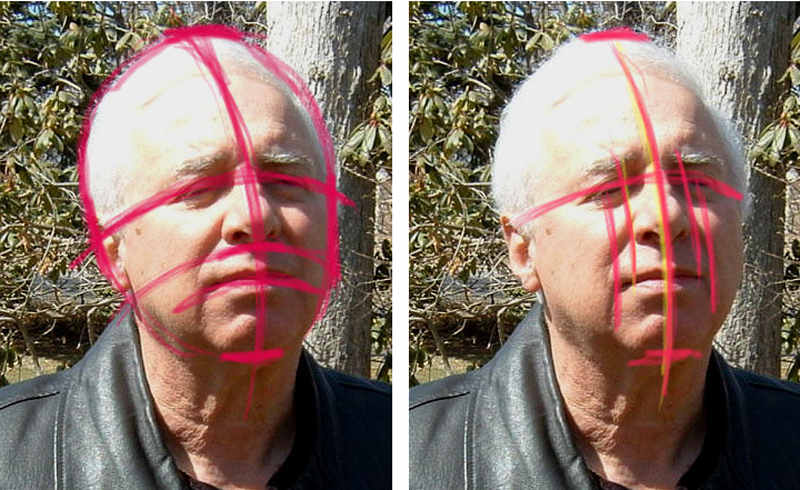 ESP - Portrait & Figure Fundamentals - Lesson 3: Measuring - WetCanvas ...