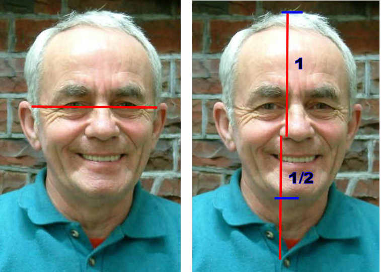 ESP - Portrait & Figure Fundamentals - Lesson 3: Measuring - WetCanvas ...