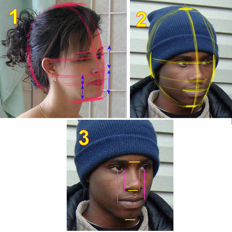 ESP - Portrait & Figure Fundamentals - Lesson 3: Measuring - WetCanvas ...