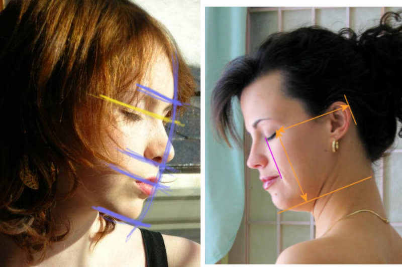 ESP - Portrait & Figure Fundamentals - Lesson 3: Measuring - WetCanvas ...