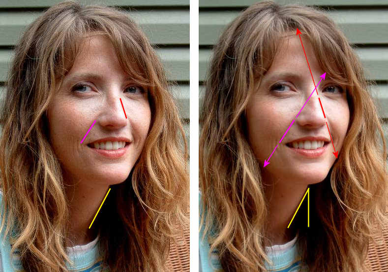 ESP - Portrait & Figure Fundamentals - Lesson 3: Measuring - WetCanvas ...