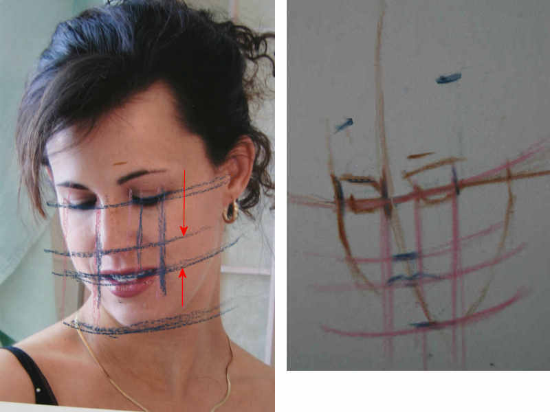 ESP - Portrait & Figure Fundamentals - Lesson 3: Measuring - WetCanvas ...