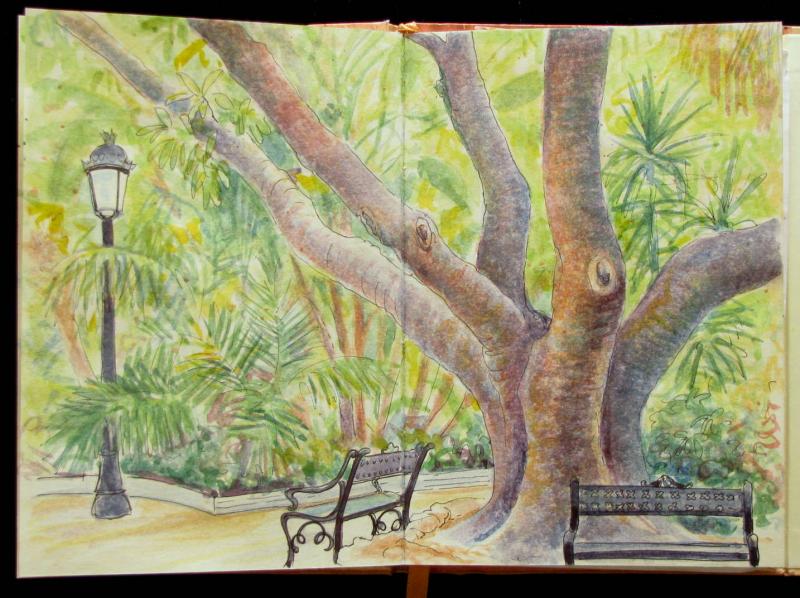 Little Spanish sketchbook and some botanical studies - WetCanvas ...