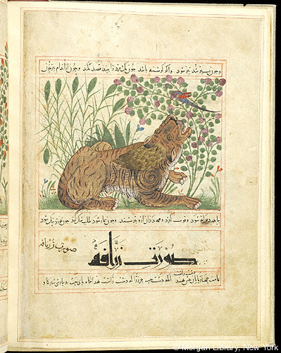 Project: Medieval Bestiary- There be Dragons! (Apr-May 09) - WetCanvas ...