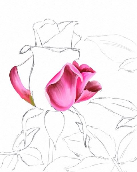 wde 1312020 Park Ranger & Rose wip - WetCanvas: Online Living for Artists