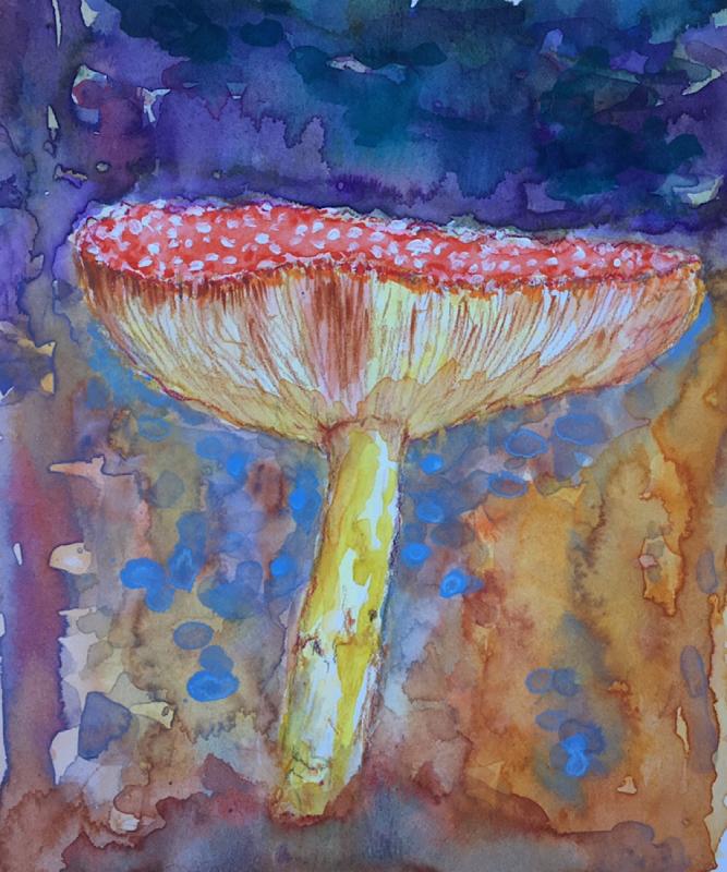 Magical Toadstool - WetCanvas: Online Living for Artists