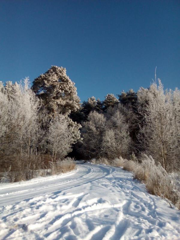 how to stop seeing white in snow? - WetCanvas: Online Living for Artists