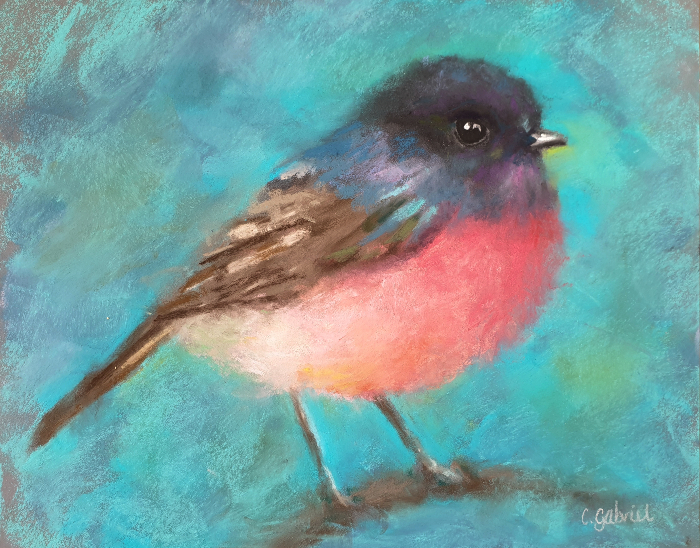 Pink Robin - WetCanvas: Online Living for Artists