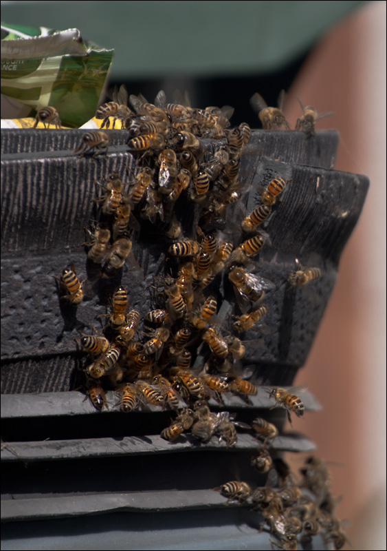 Shutterbug Pub Friday 06 March 2020 - WetCanvas: Online Living for Artists