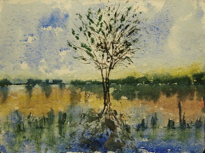 Watercolor from pigment powder - WetCanvas: Online Living for Artists