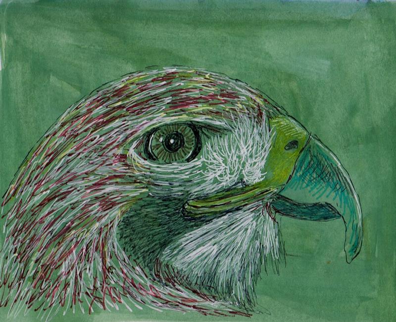 WDE Mar 2, grumpy, singer and hawk - WetCanvas: Online Living for Artists