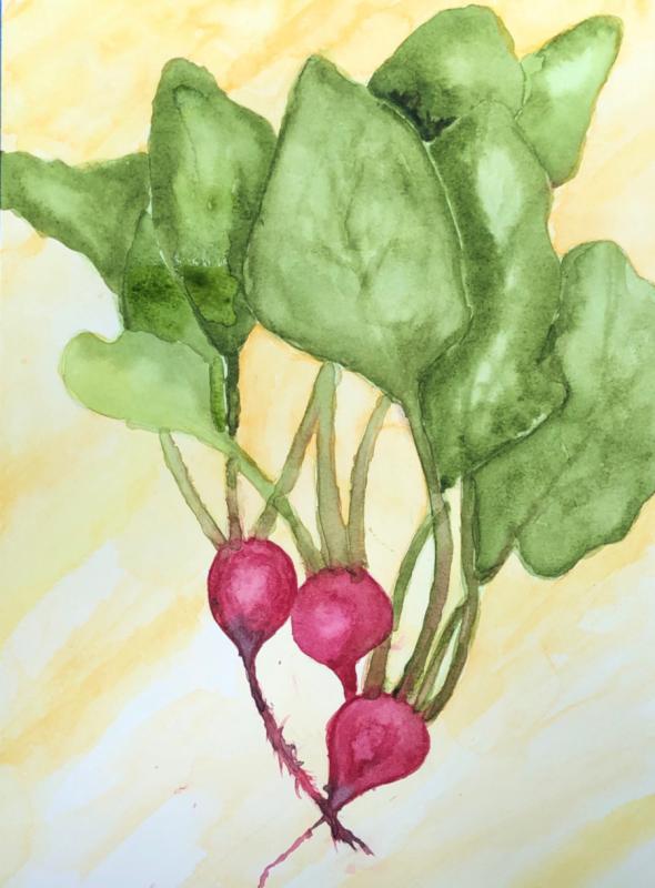 Beets From My Garden - WetCanvas: Online Living for Artists