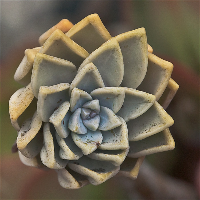 Shutterbug Pub Daily, Saturday, September 8, 2018 - WetCanvas: Online Living for Artists