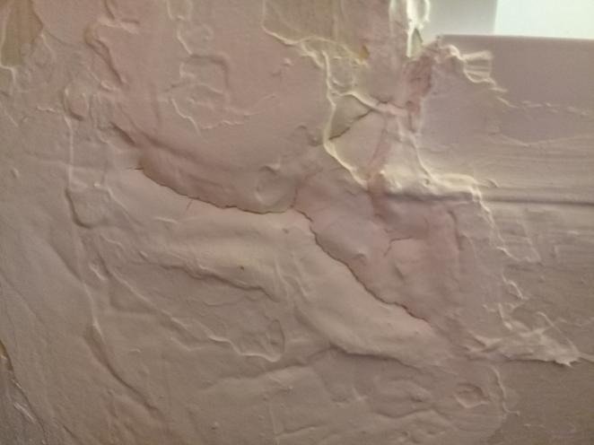 Crater defects caused by surfactants in a drying paint layer ...