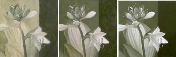 Grisaille-white paint woes - WetCanvas: Online Living for Artists