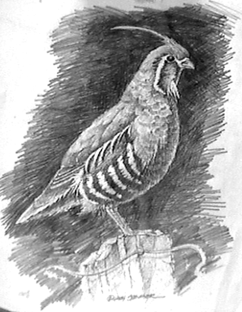 Pencil Broadside Sketching - WetCanvas: Online Living for Artists