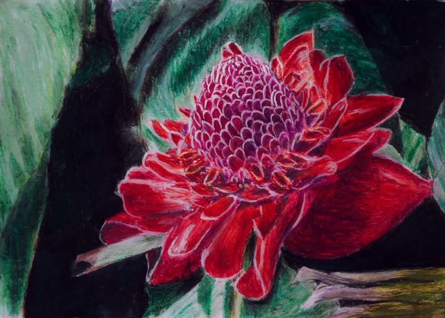 Red torch ginger flower and a lily - WetCanvas: Online Living for Artists