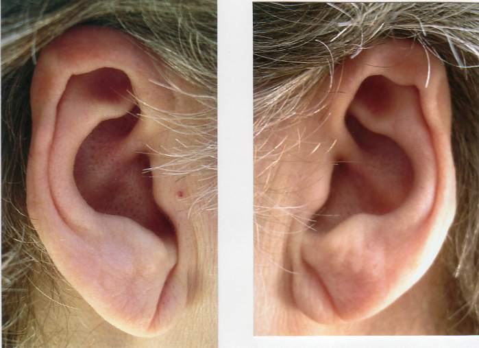 Focus on: EARS - WetCanvas: Online Living for Artists