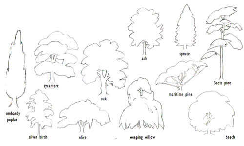 Tree Shapes - Reference Page - WetCanvas: Online Living for Artists