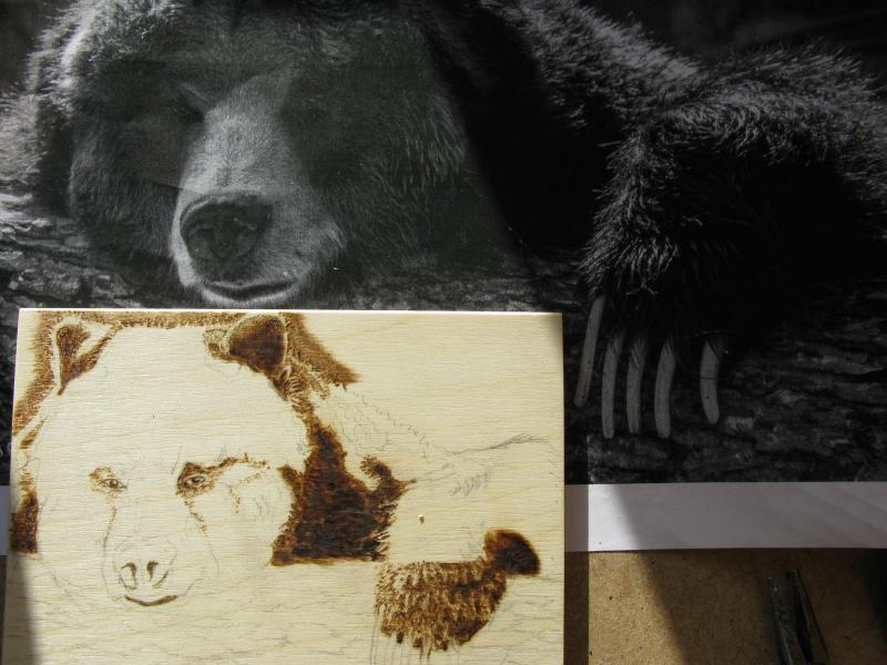 Polly the bear in Pyrography! - WetCanvas: Online Living for Artists