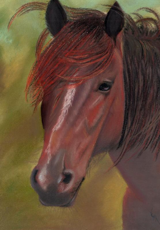 Red Horse - WetCanvas: Online Living for Artists