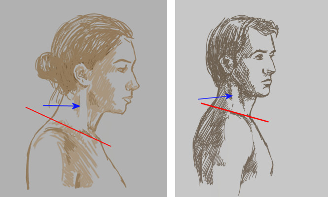 ESP - Portrait & Figure Fundamentals - Lesson 6: The Figure, Part 2 ...