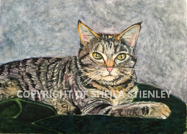 Cat done in markers - WetCanvas: Online Living for Artists
