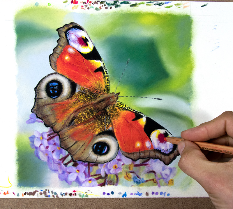 Butterfly - realism - WetCanvas: Online Living for Artists