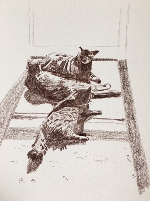 Bonnie's Cats ~ xPost AMAE forum - WetCanvas: Online Living for Artists