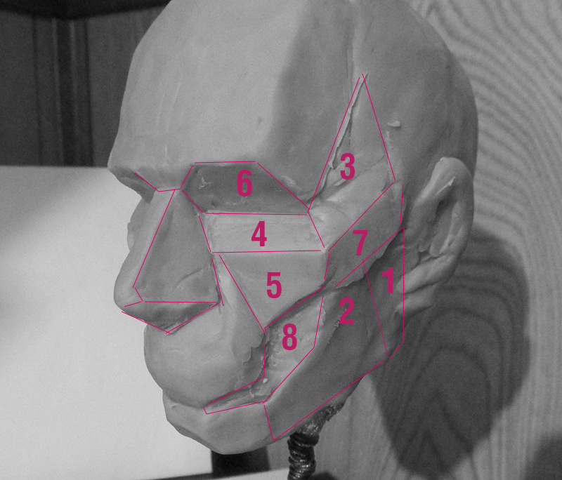 Help understanding the planes of the head - WetCanvas: Online Living ...