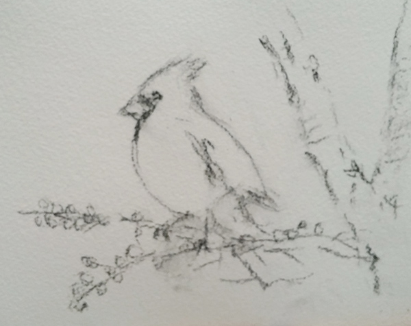 Workable fixative for watercolour work - WetCanvas: Online Living for ...